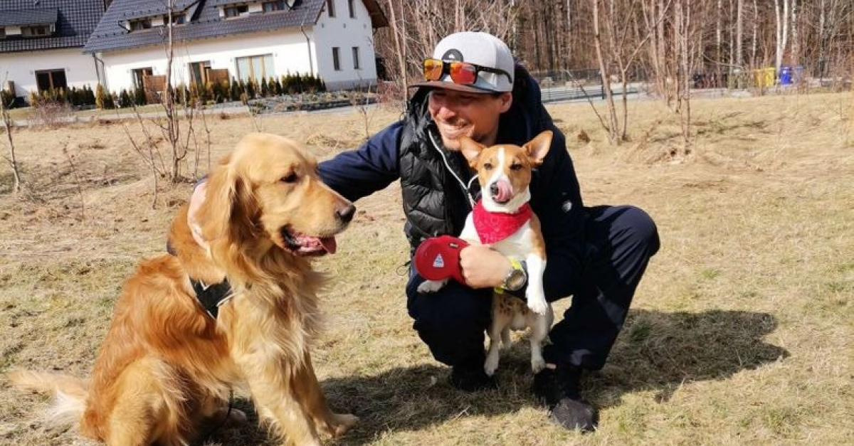 Diego, le Jack Russel Terrier, se transforme en héros au cours d’une ...